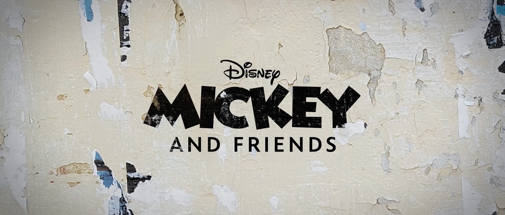 Mickey & Friends - FieldofHats